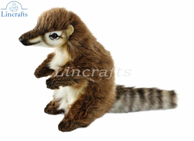 Hansa COATI Coatimundi 5887 Plush Soft Toy by Lincrafts Established ...
