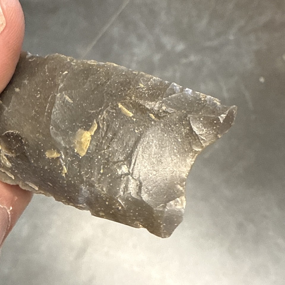 Native American Indian Arrowhead Fluted Clovis Kentucky 2.7/8” Rechip ...