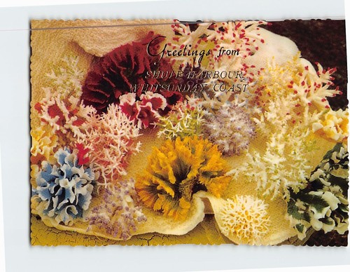 Postcard Selected coral Greetings from Shute Harbor Whitsunday Coast ...