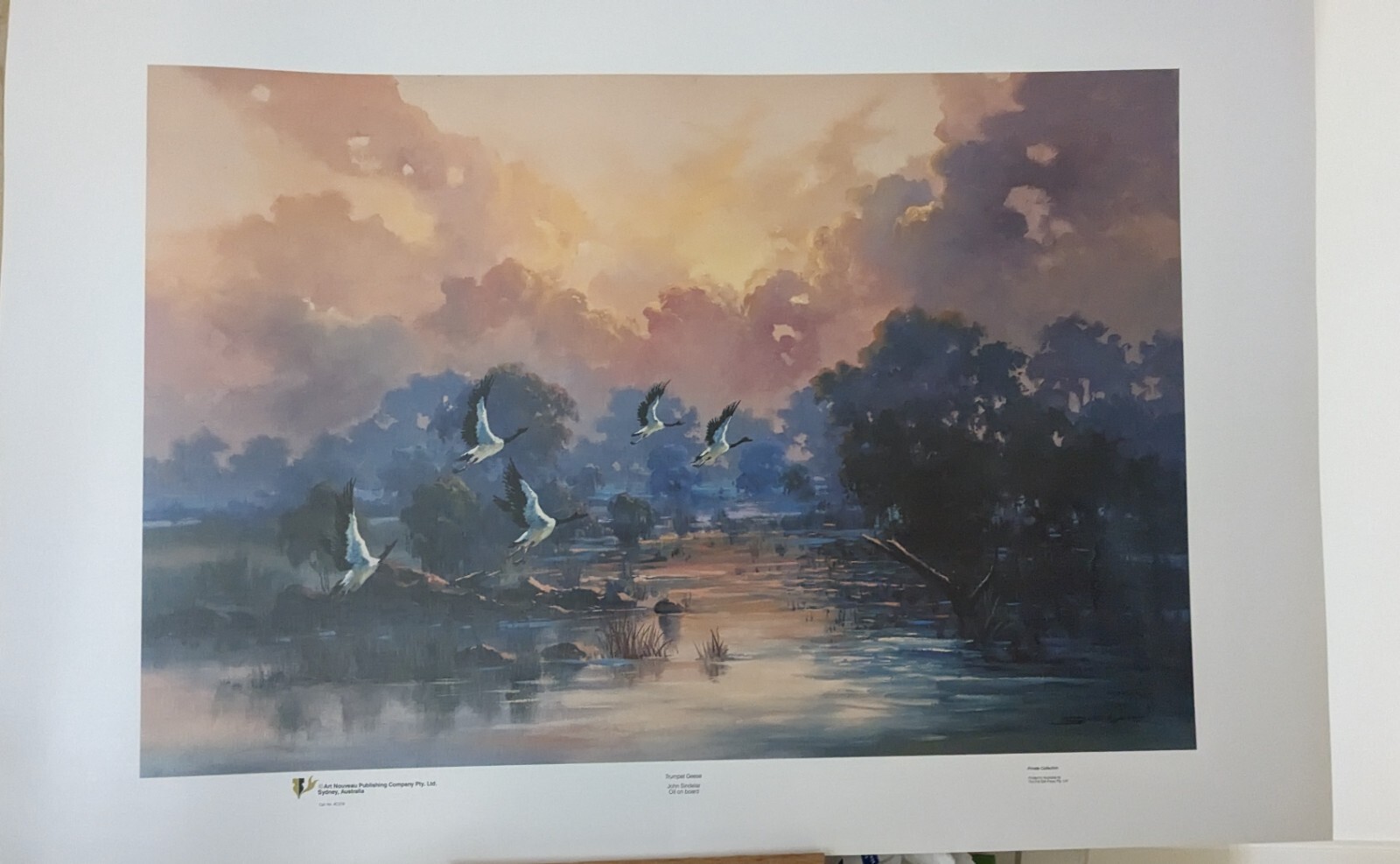 art print-"TRUMPET GEESE" BY JOHN SINDELAR SIZE: 68/95 CM | eBay Australia