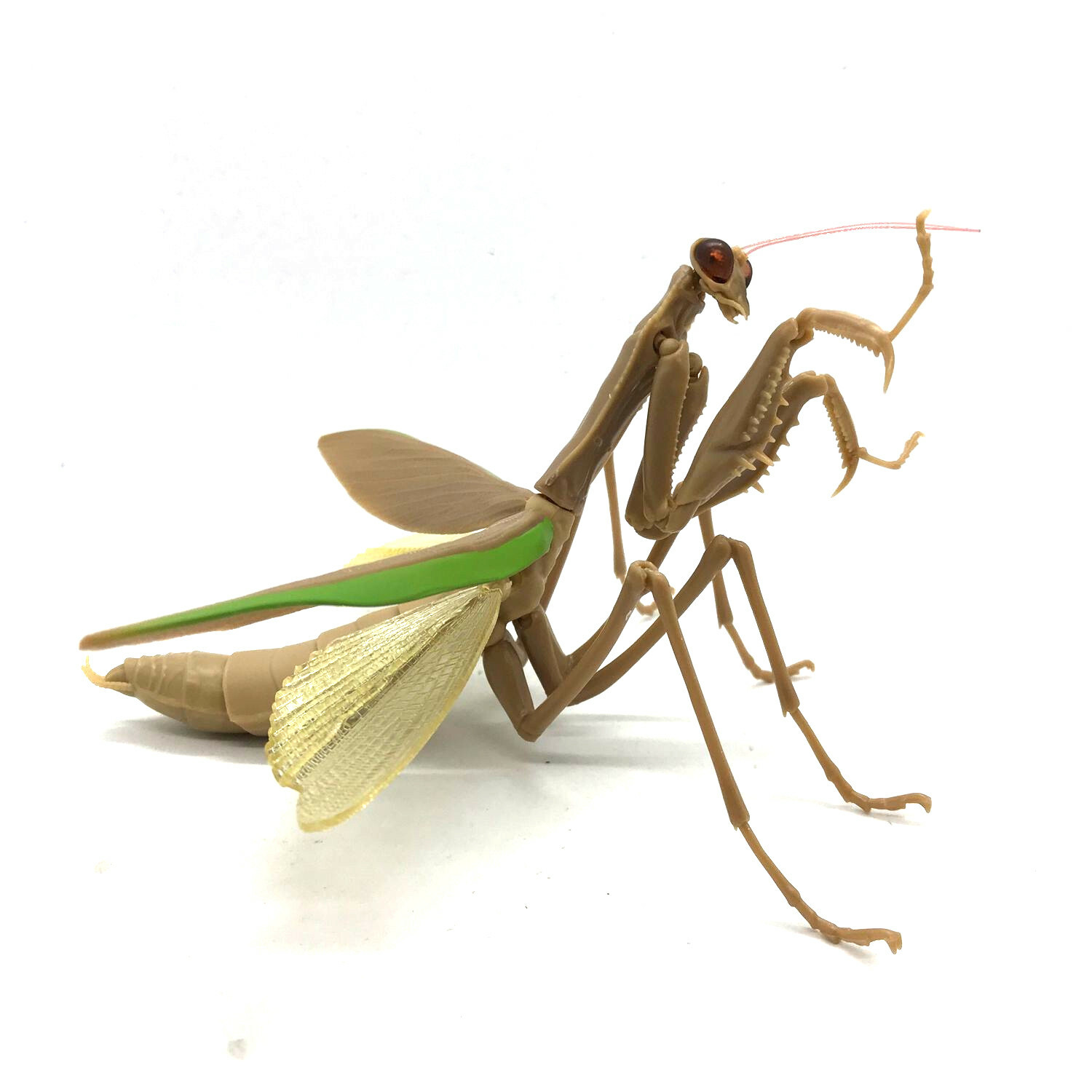 Bandai Encyclopedia of Creatures MANTIS Abdominal Normal No.03 Insect ...