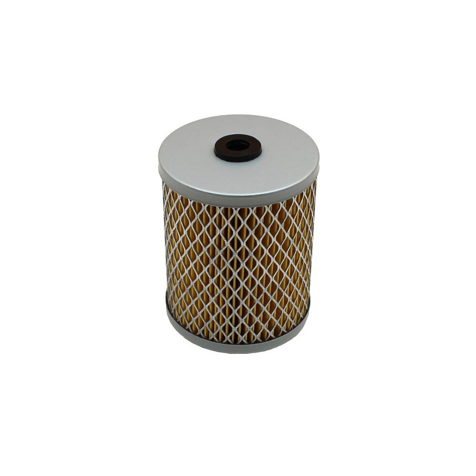 Oil Filter 1003879M1 Fits Massey Ferguson TE20 TO20 | eBay