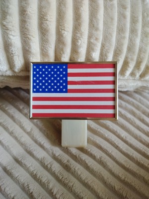 Bath & Body Works American Flag Wallflower Plug In Air Freshener ...