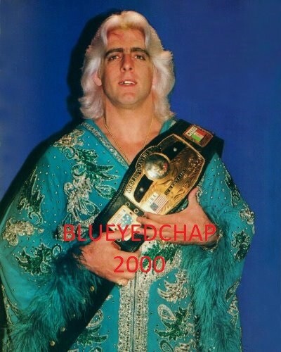 RIC FLAIR WRESTLER 8 X 10 WRESTLING PHOTO NWA | eBay