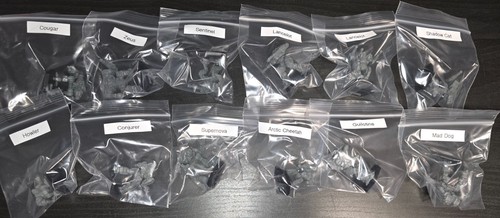 Battletech Miniature Lot 13 - CGL 12 plastic Mech Miniatures Catalyst ...