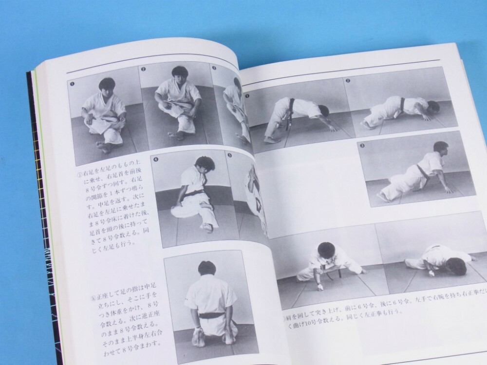 Daido Juku Karate Martial Arts Basic book Takashi Azuma Kudo MMA | eBay