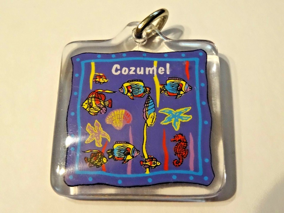 COZUMEL ~ NICE KEY CHAIN RING COZUMEL MEXICO SOUVENIR | eBay