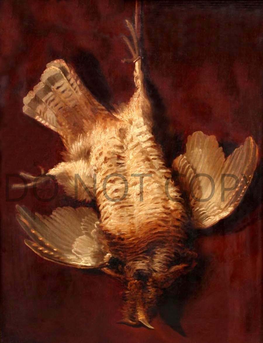 ANTIQUE REPRODUCTION 8X10 PHOTO PRINT RUFFED GROUSE HUNTING DEAD ...