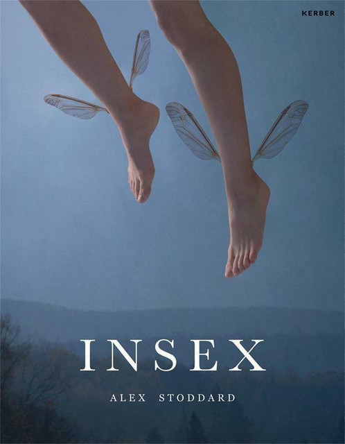 Alex Stoddard (2021, Gebundene Ausgabe) online kaufen | eBay.de