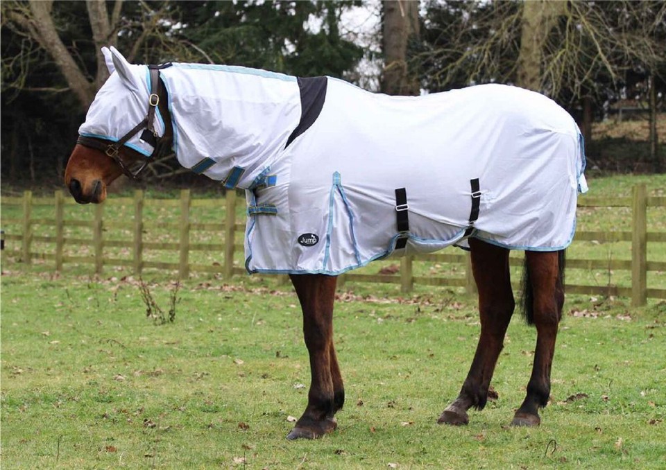 PONY MESH FLY RUG Jump All In One Combo Fly Bug Sheet + Fly Mask and ...