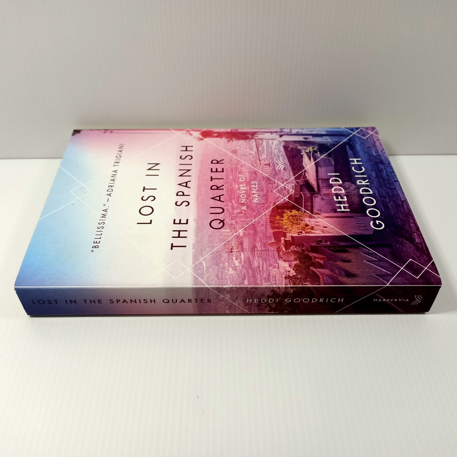LOST IN THE SPANISH QUARTER: A Novel Of Naples by Heddi Goodrich | eBay ...