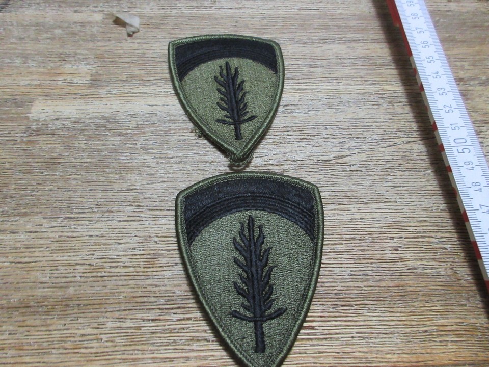 1x Military Patch US Army Flaming Sword Freedom Europe Subdued ...