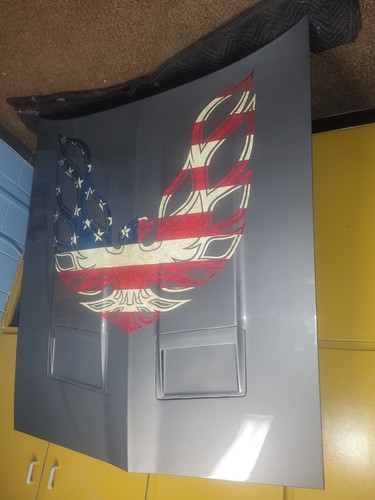 Pontiac Formula Hood ! Fits Firebird, Trans Am 78 -81' Excellent ...