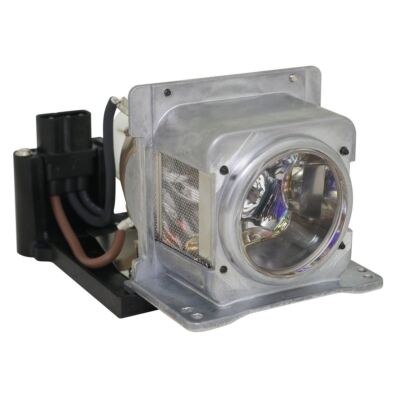 Viewsonic RLC-019 Ushio Projector Lamp Module | eBay