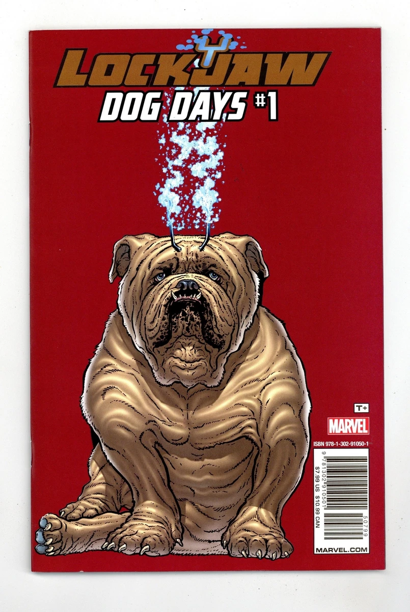 How To Help A Dog With Lockjaw