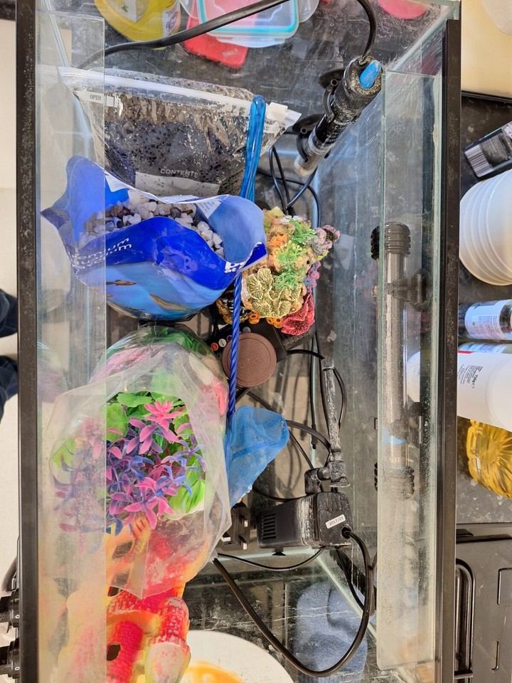 clear seal fish tank and full setup | eBay UK