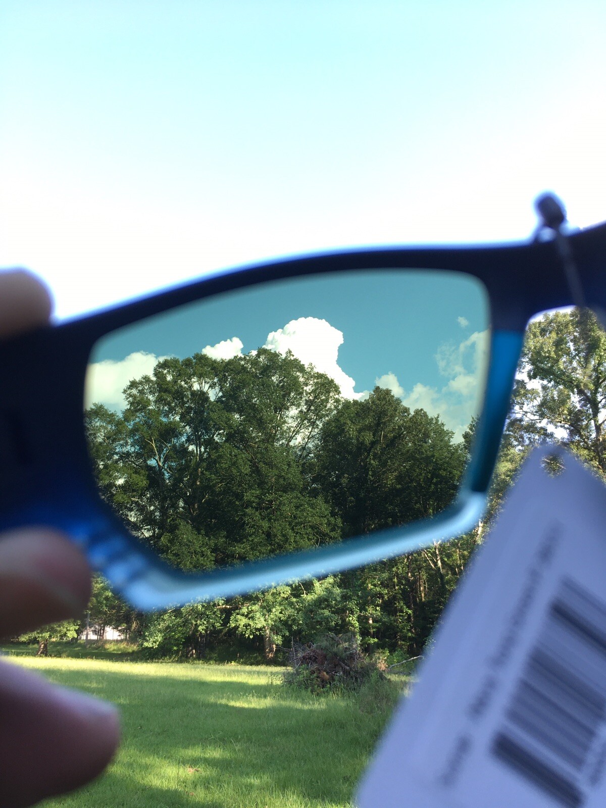 RAZE Eyewear Sunglasses Sonar polarized fishing Blue Frame Green Lens ...