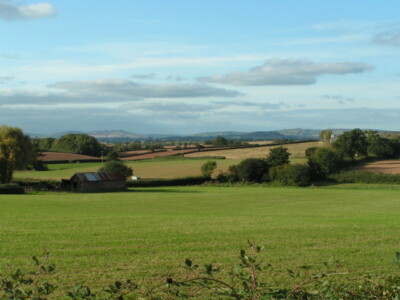 Photo 6x4 Fields near Hill Barton Farm Farringdon c2009 | eBay UK