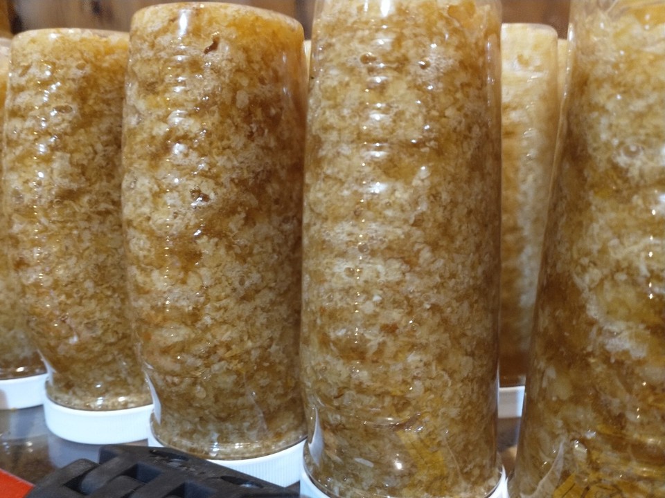 Raw Honey Cappings - ZABRUS - PURE Honey, Beeswac, Pollen, Propolis ...