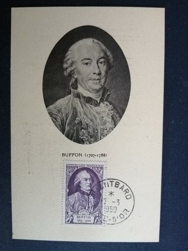 France Card Postal Yvert 856 Buffon 12F +4F Montlard 1959 | eBay UK