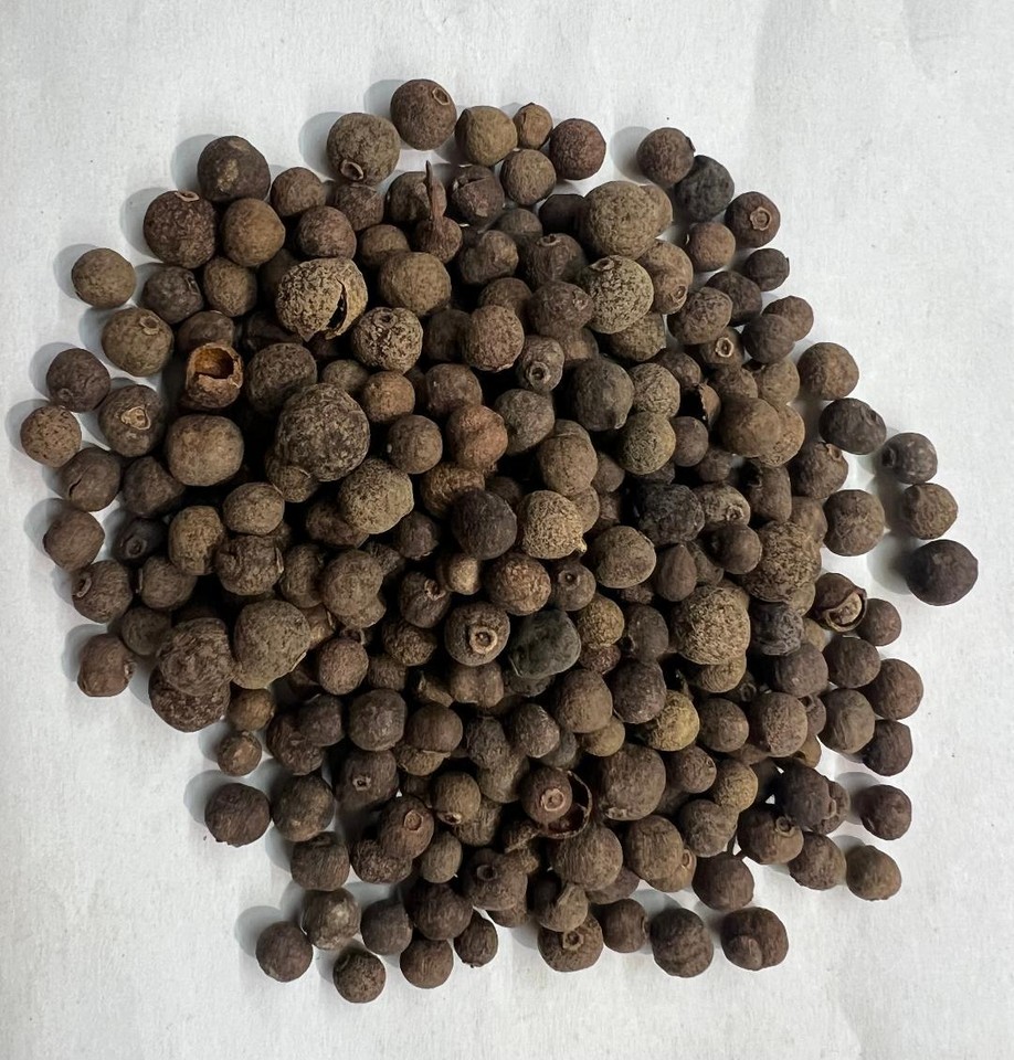 Bulk Wholesale Seasoning, Herbs & Spice (select Spice from drop down ...