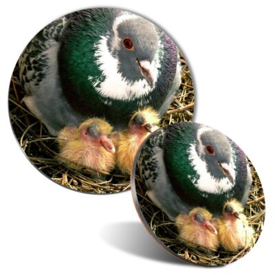 Mouse Mat & Coaster Set Mother Pigeon & Baby Birds Cute #51495 | eBay