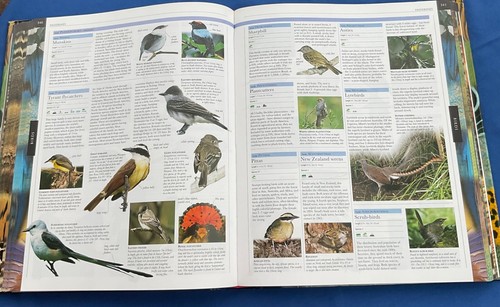 2001 DK ANIMAL THE DEFINITIVE VISUAL GUIDE TO THE WORLD'S WILDLIFE ...