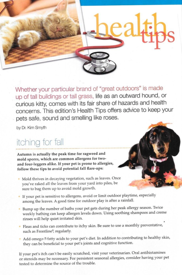 Fetch Magazine Outward Hound Issue Weather Noise and Phobias Outdoors ...
