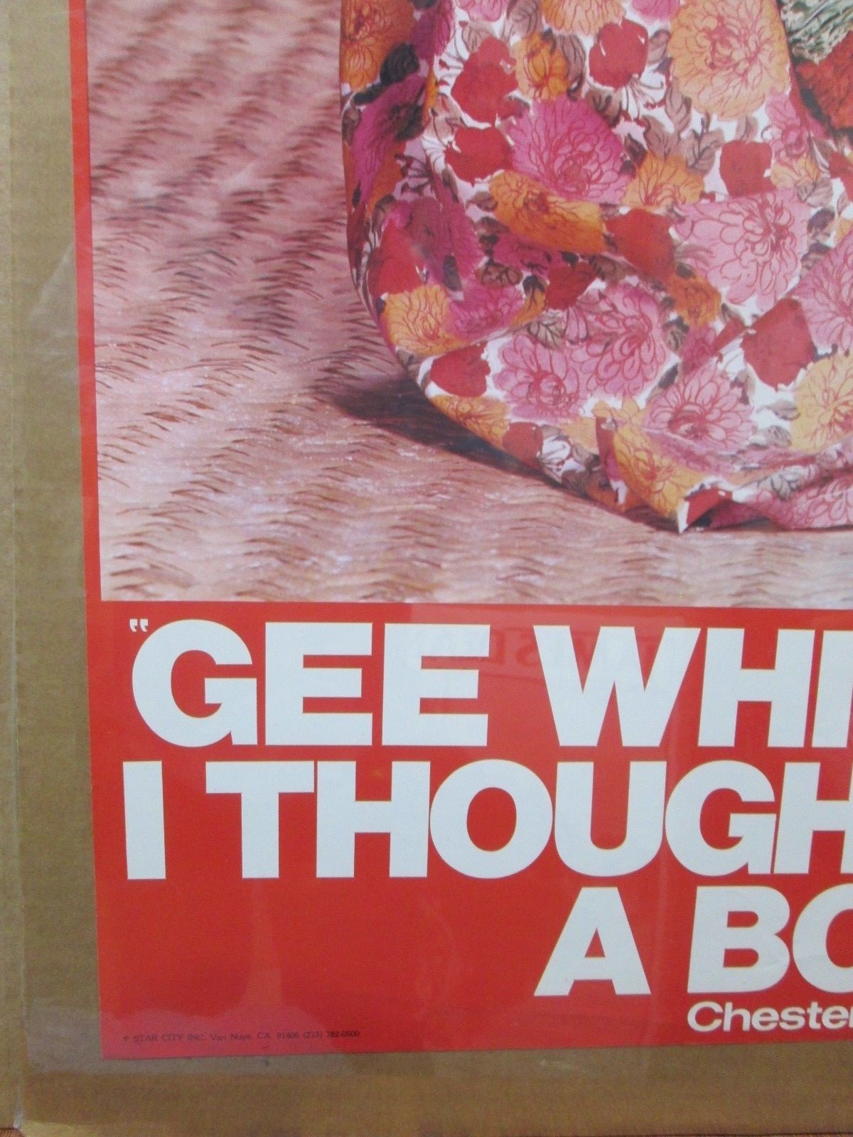 Vintage Poster Gee Whiz, Mom- I thought i was A boy! Chester Inv#568 | eBay