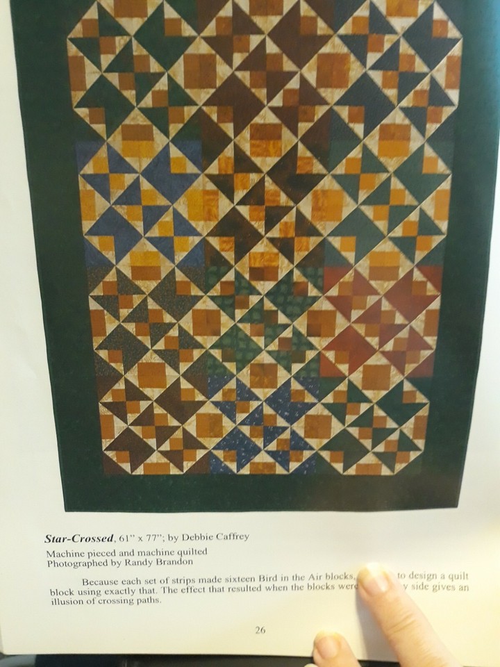 Scraps to You Too Debbie Caffrey Pieced Quilt patterns | eBay