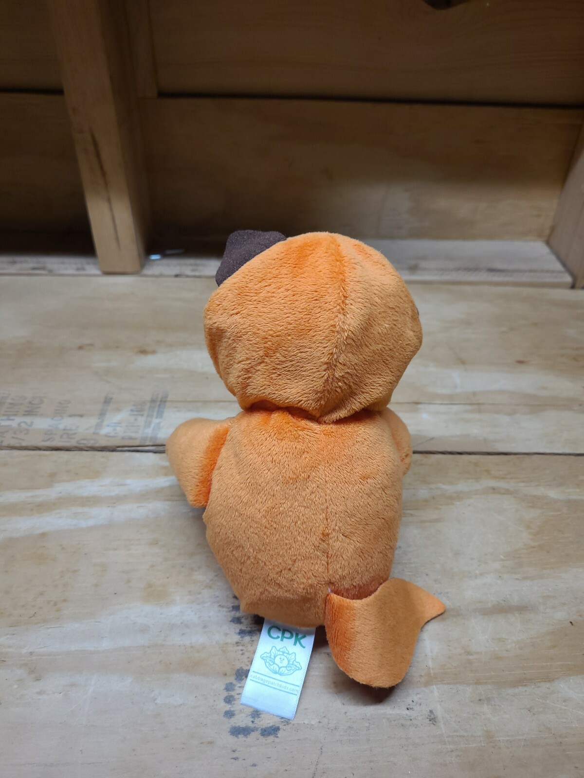 Cabbage Patch Kids Cuties Forest Friends 36 Rusty Racoon 9 Inch Doll ...