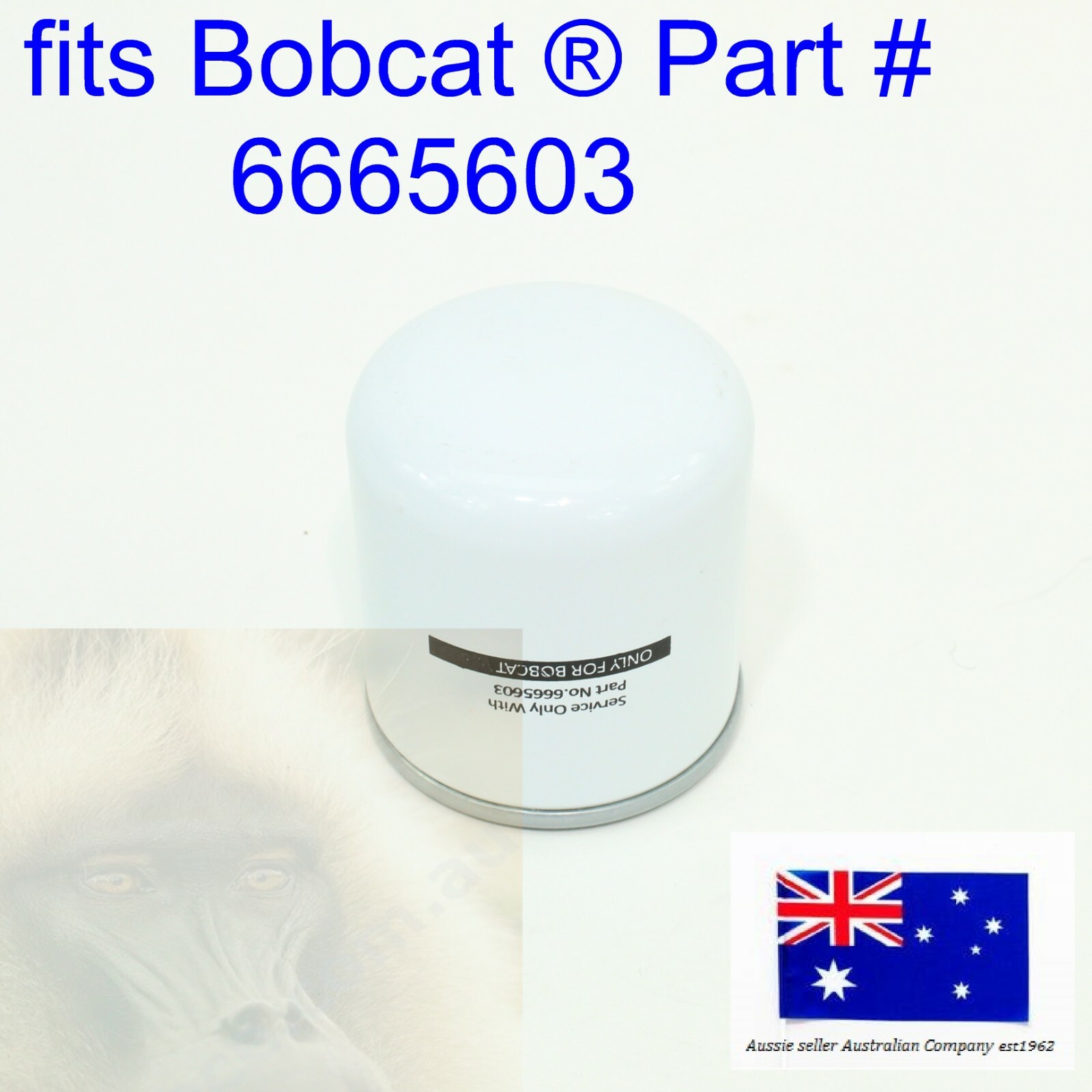 Engine Oil Filter for Bobcat 6665603 A220 A300 S250 T200 863 864 873 ...