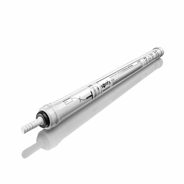 Somfy 12v Reloadable Battery Wand 9018685 for sale online | eBay