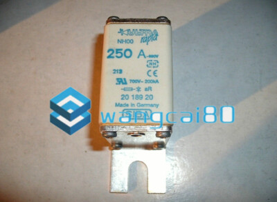 1PCS New For SIBA NH00 DIN80 250A 700V Fuse 2018920.250 20 189 20 ...