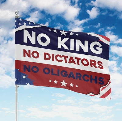 No Kings No Dictators No Oligarchs Pro Democracy Anti Trump Flag | eBay