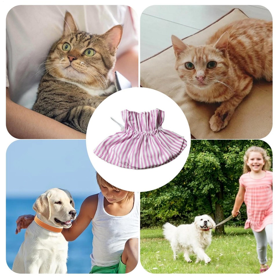 Elizabethan Pet Protective Collar Dog Cat Soft Cone Wound Healing ...