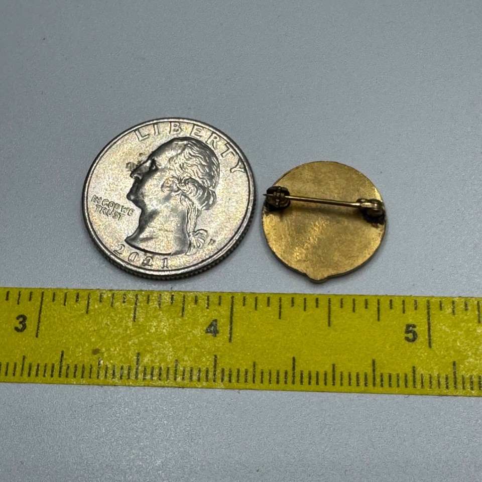 Vintage Certified Nurse Assistant CNA Lapel Pin Blue Gold Caduceus ...