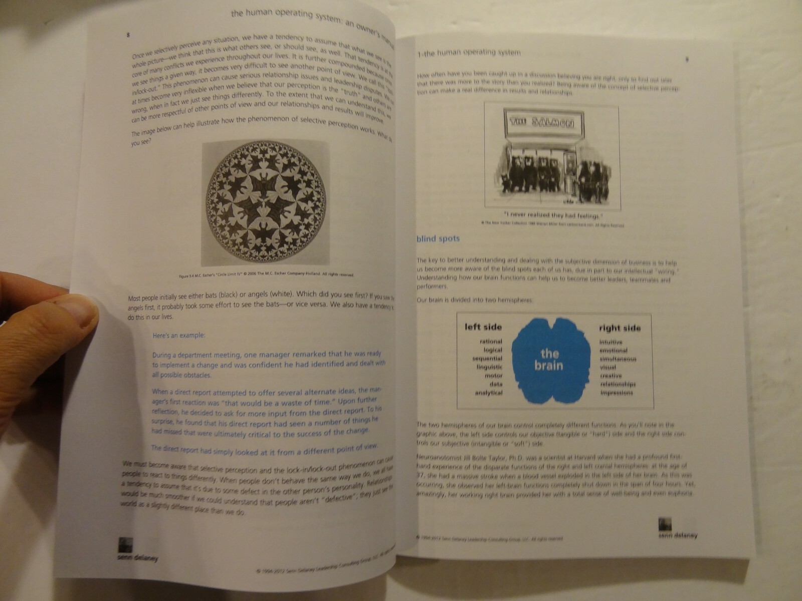 The Human Operating System: An Owner's Manual by Senn Delaney ...