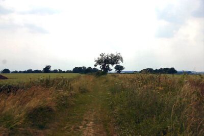 Photo 6x4 Bridleway to Boxted Mill Hill/TL8551 This bridleway leads ...