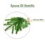 Spruce Oil 100% Natural Pure Essential Oil 10ml-500ml [Free shipping ...