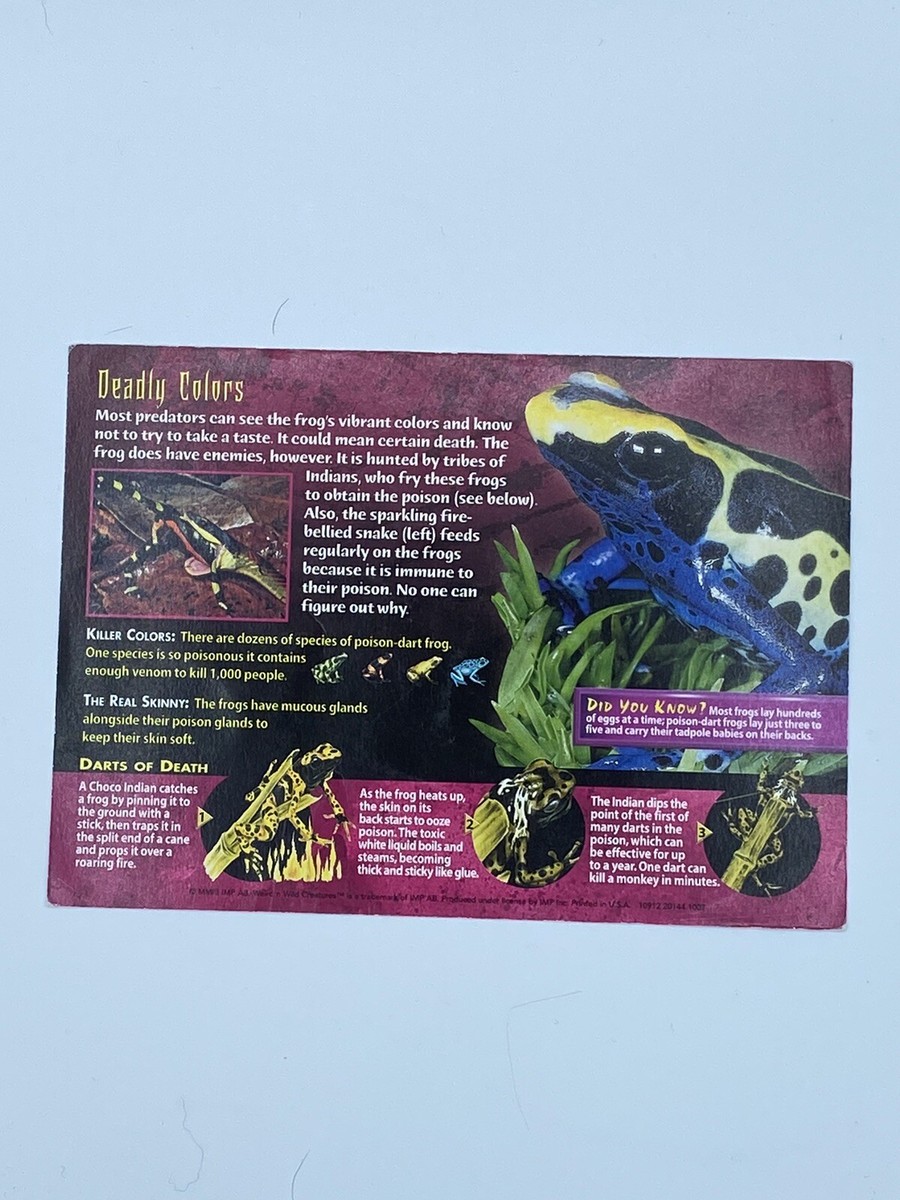 Toxic Terrors Jararaca