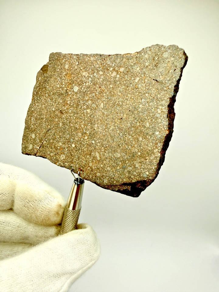 NWA 17760 H4 Chondrite Meteorite Full slice 48.5 g w/ sharply defined ...