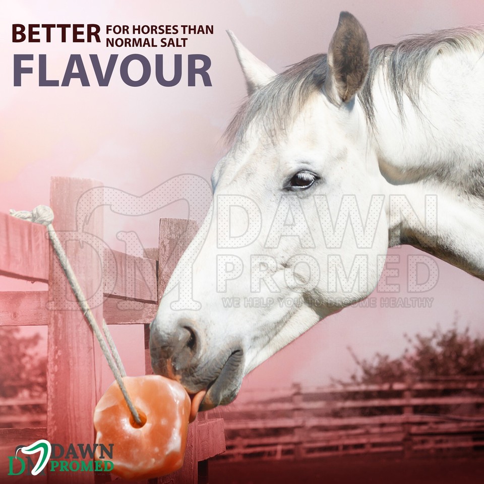 8 Pcs Himalayan Nature 100% Natural Salt Lick Block for Animal Wellness ...