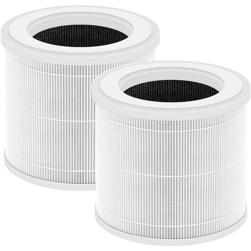 T10 Replacement Hepa Carbon Filter Compatible for FULMINARE Air ...