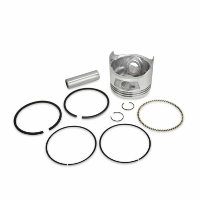 Brand New Replacement Piston And Rings 4.0 HP Compatible With Honda ...