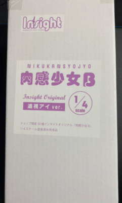 Insight Official Nikkan Girl B Pursuit Eye ver. 1/4 PMMA Figure 340mm ...