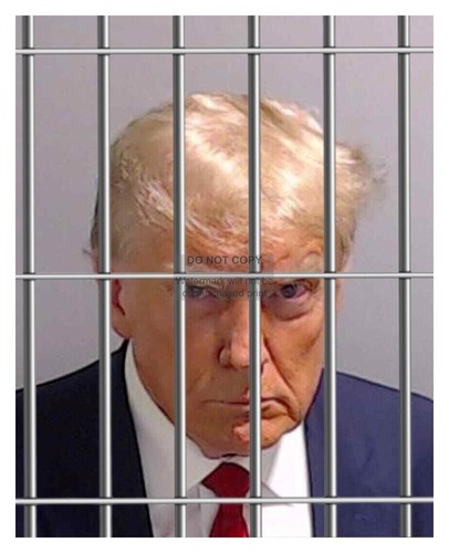 PRESIDENT DONALD TRUMP MUGSHOT BEHIND BARS IN JAIL 8X10 PHOTO REPRINT ...