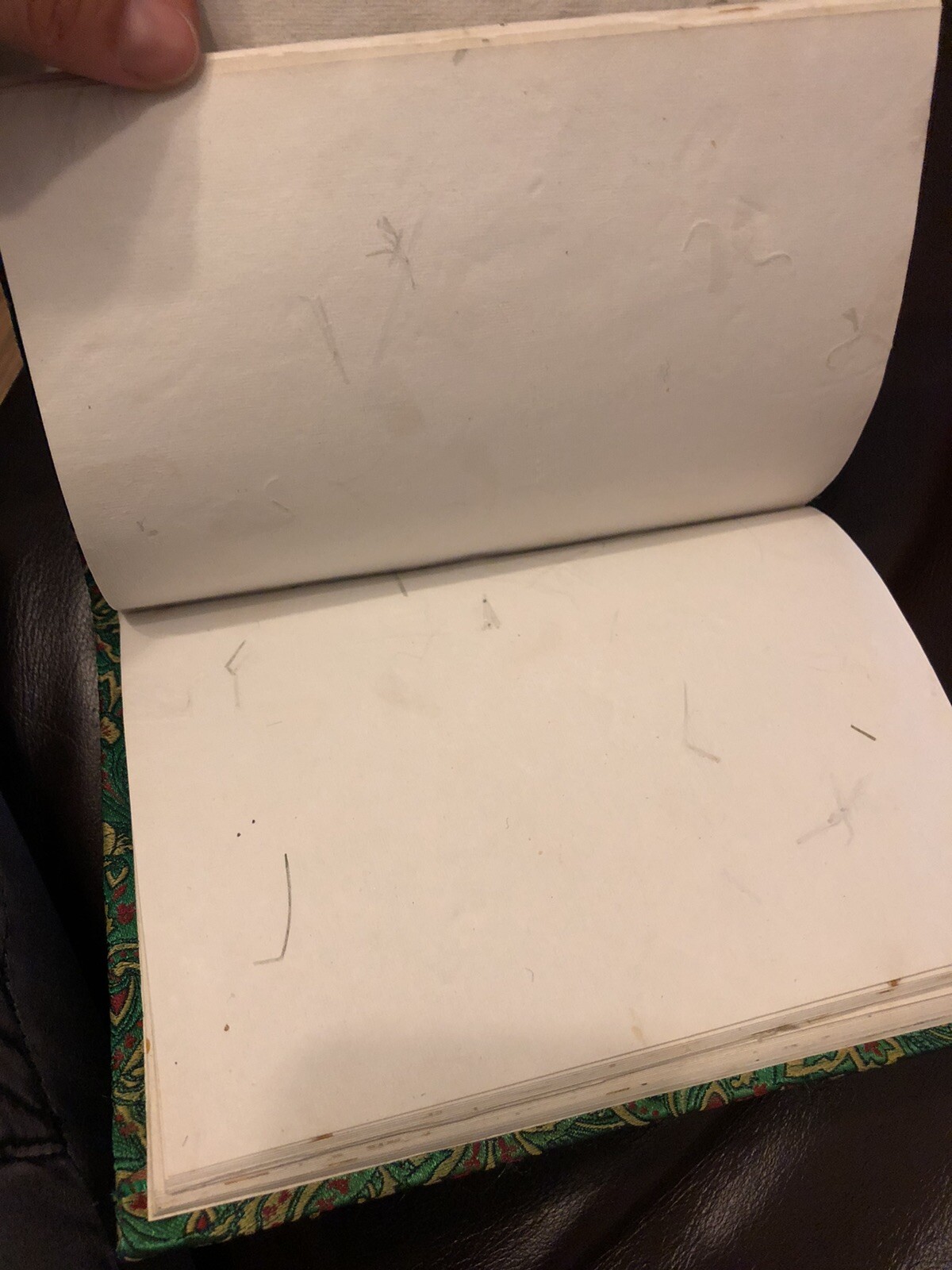 Buch Notizen 20x14 cm Naturblätter | eBay.de