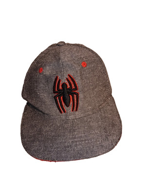 Marvel Spider-Man Cap Hat Youth-Kids Embroidered Logo Adjustable ...