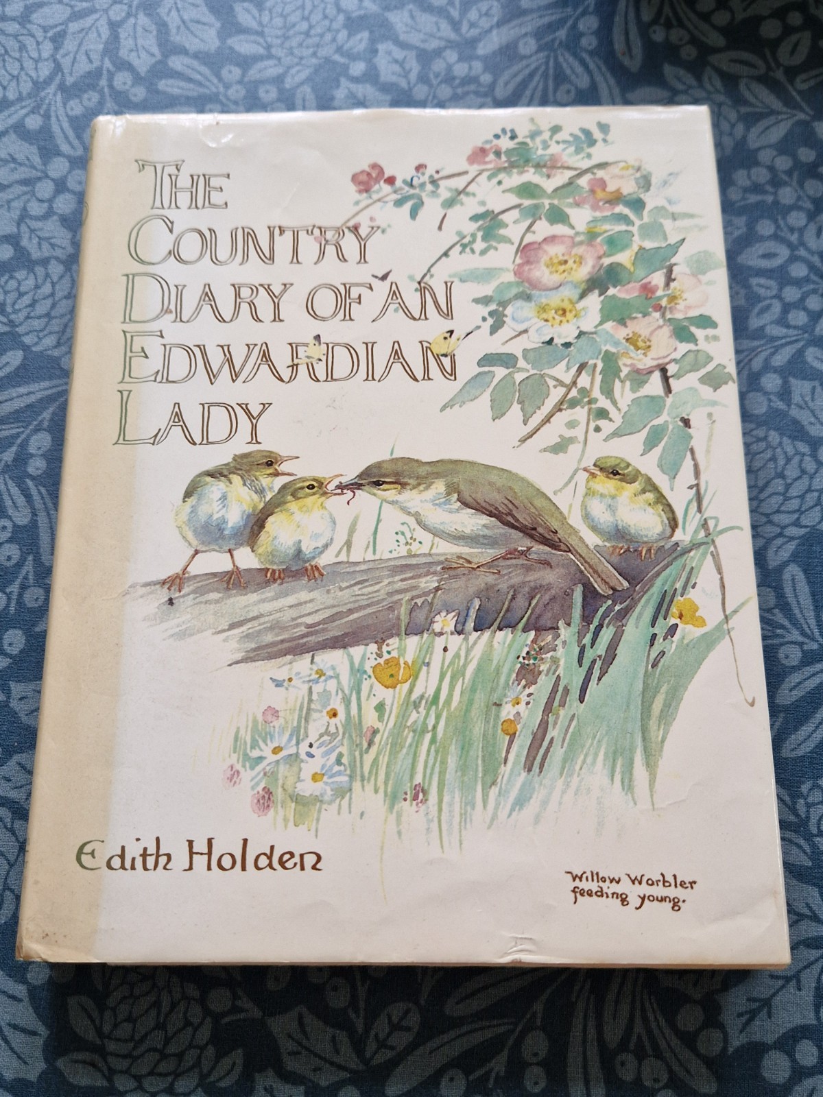 The Country Diary of an Edwardian Lady E Holden | eBay UK